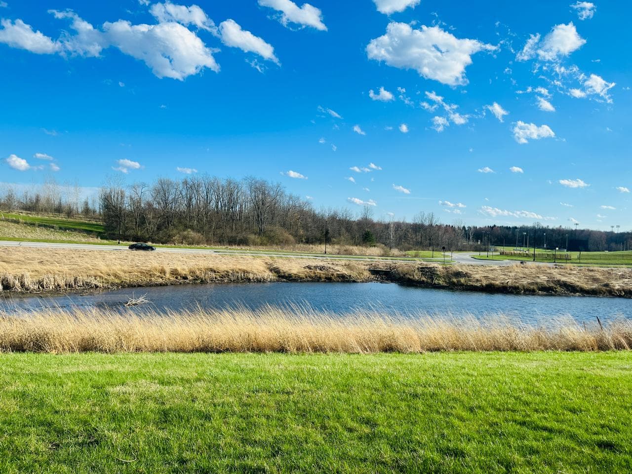 Kent State University Admissions 2026: Application Deadline, Eligibility & Fees